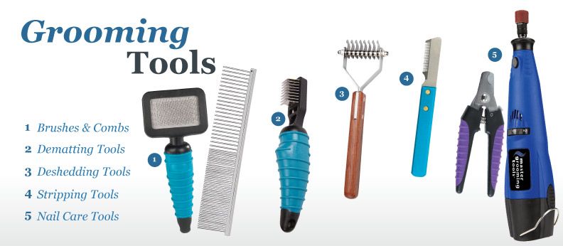 Dog Grooming Tool Must Haves Dog Care Training Grooming dog-grooming-tool-must-haves-dog-care-training-grooming