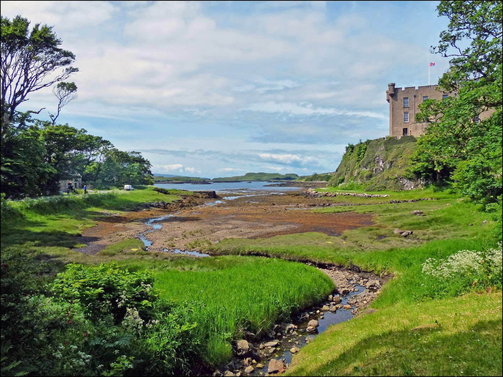 Wild and Wonderful: Scottish Odyssey 2 ~ Finches at Dunvegan on Skye