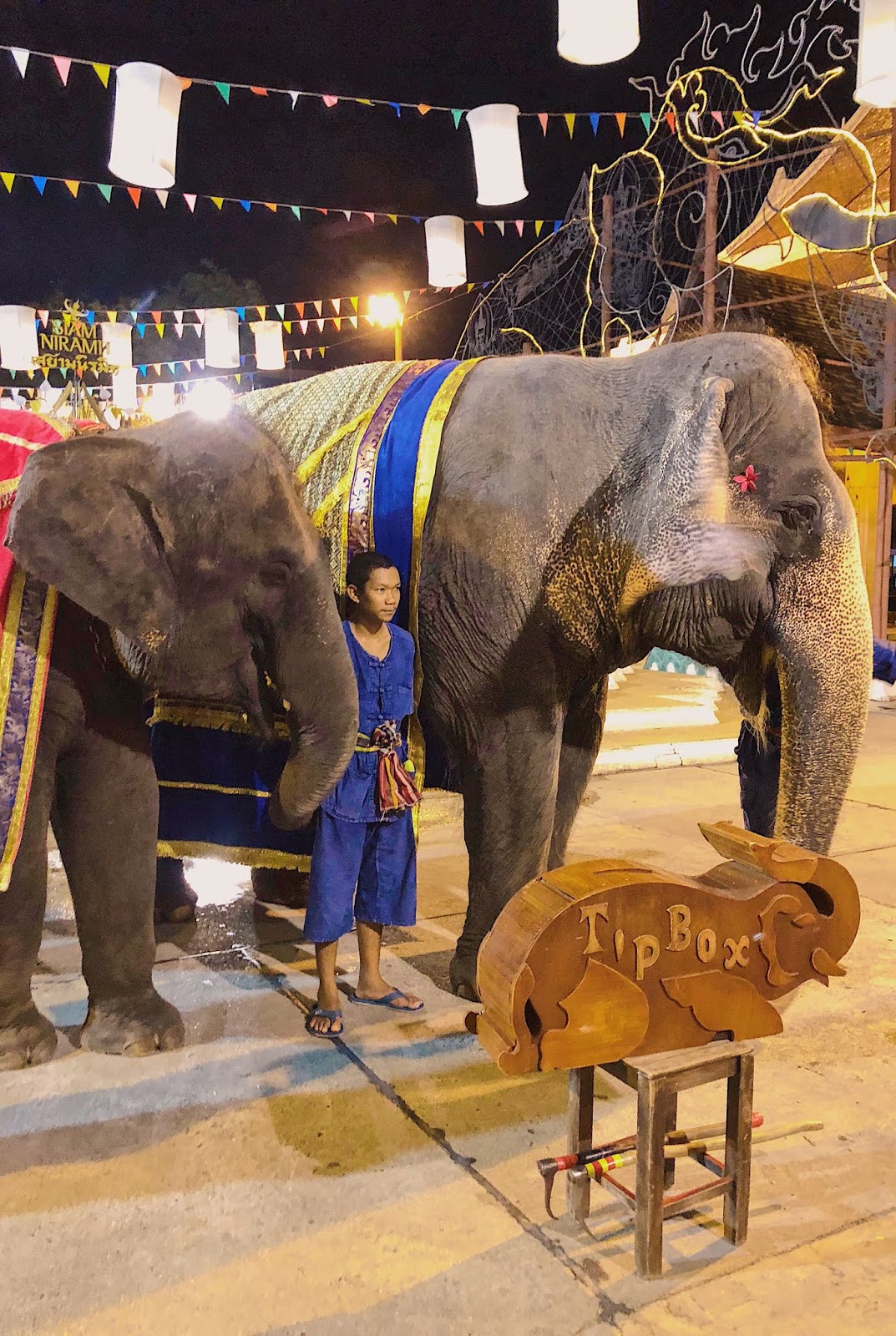 Damnoen Saduak Floating Market and Siam Niramit - Living in the Moment