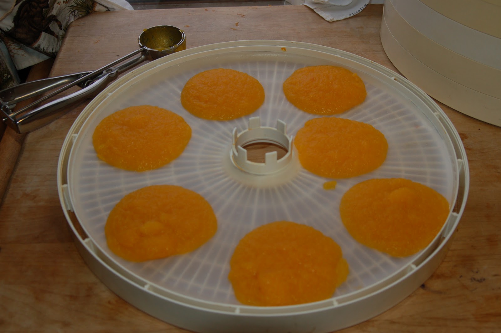 Dehydrating Way Beyond Jerky: Pumpkin Plops