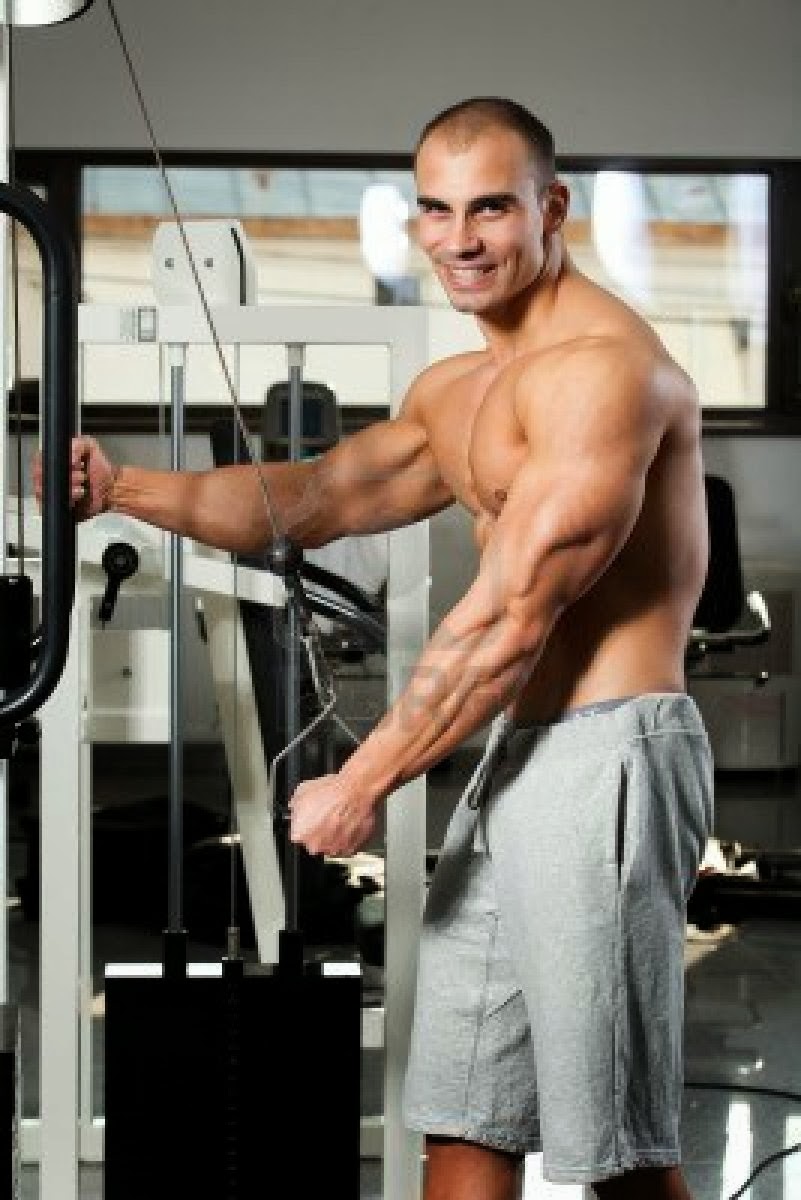 5 EJERCICIOS PARA TRICEPS BESTIALES - EL CAMALEON