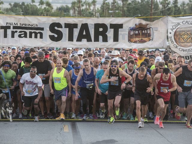 Mark Tripp Triathlete