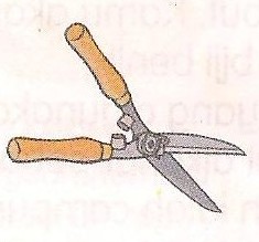 Cikgu Lalitha: Alatan Perkebunan