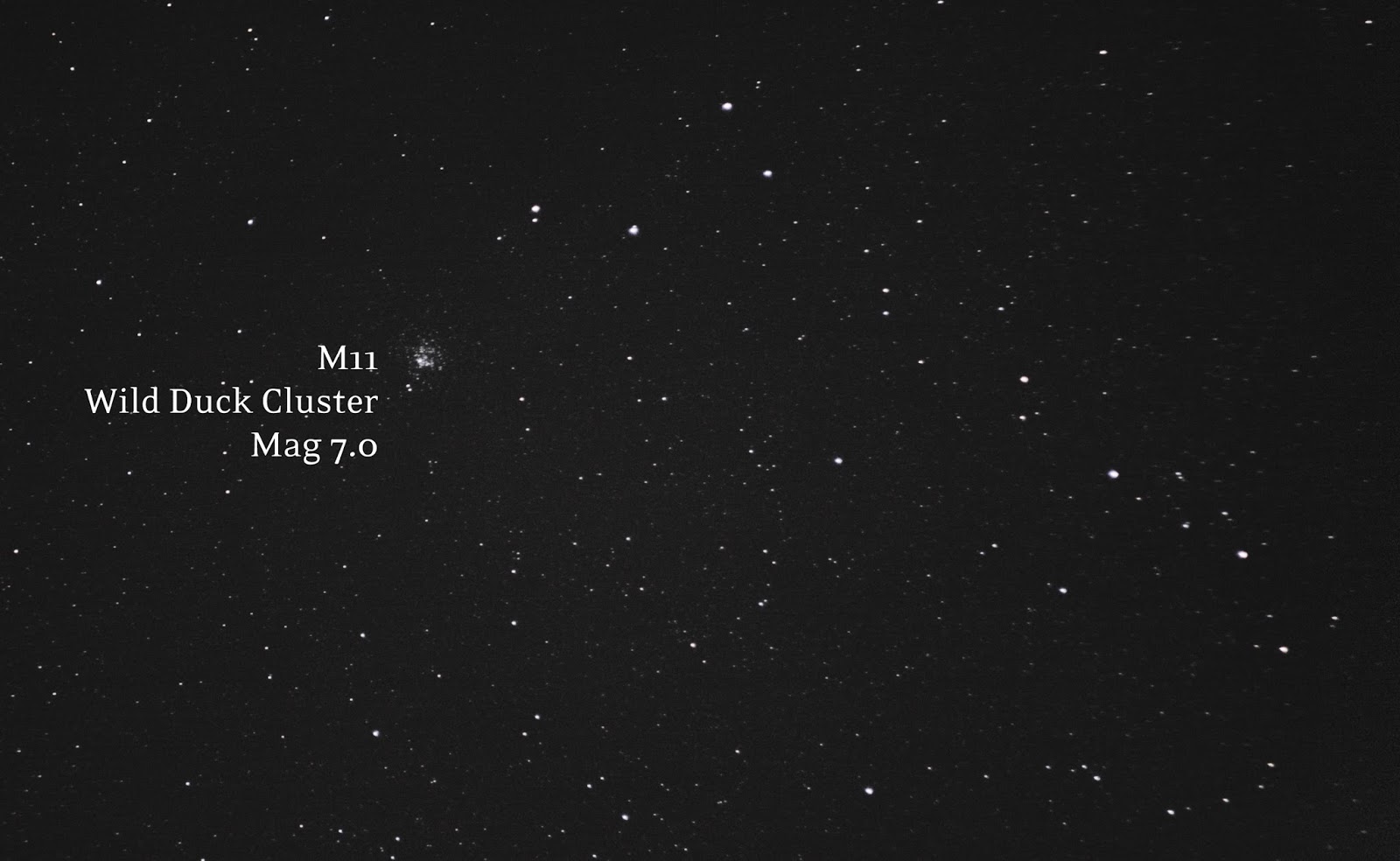 M11 Wild Duck Cluster [Stellar Neophyte Astronomy Blog]
