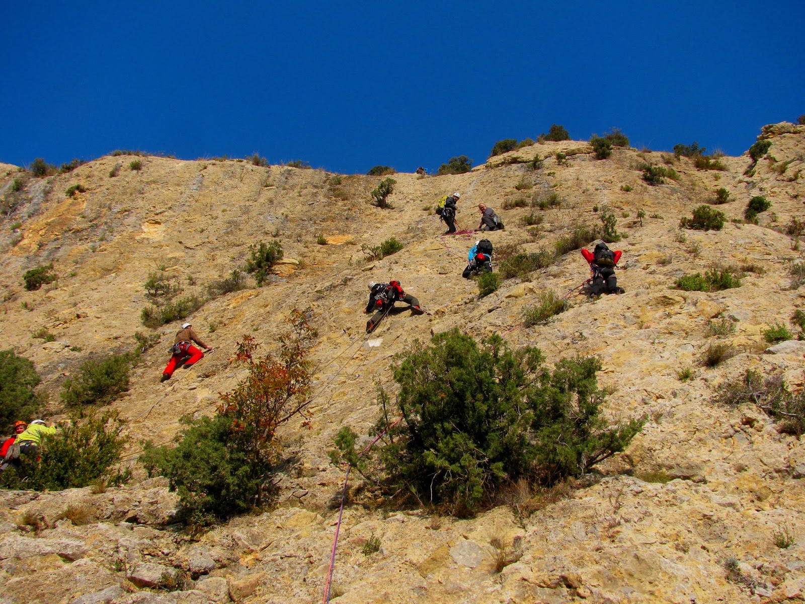 LO GALL: INFORMACIO GALL