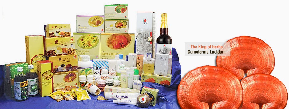 Ganoderma Gomba, gyógygomba: DXN termékek vásárlása Magyarországon