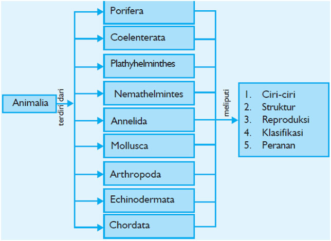 33+ Hewan Avertebrata Dengan Ciri Tubuh Simetri Radial, Koleksi Terkini!