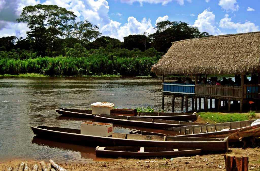 oswaldo barba FOTOGRAFO: TRINIDAD - BENI - BOLIVIA