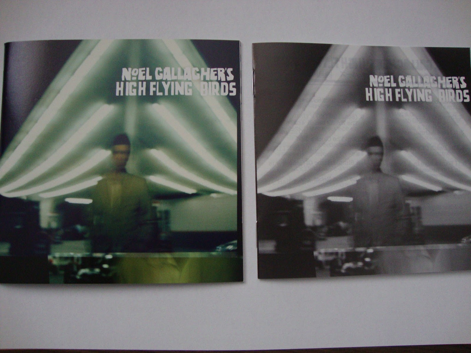 High Flying Birds Collector: Album - NGHFB Japanese Tour Edition (CD+DVD)