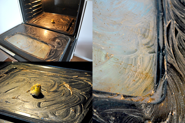 Young Broke and Marvelous: homemade oven cleaner