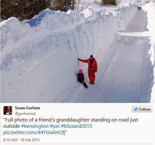 Prince Edward Island (nearly) obliterated by snow