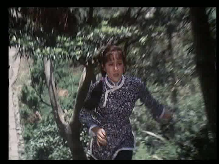 SHAOLIN'S BORN INVINCIBLE a.k.a BORN INVINCIBLE