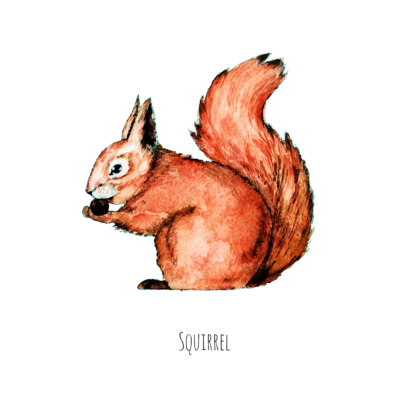 Anastasiya Levashova Freelance Illustrator - Watercolour illustration ...