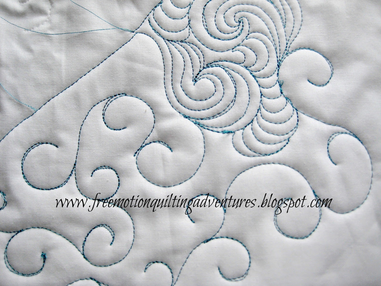 Free Motion Quilting Design: McTavishing with a Twist | Amy's Free ...