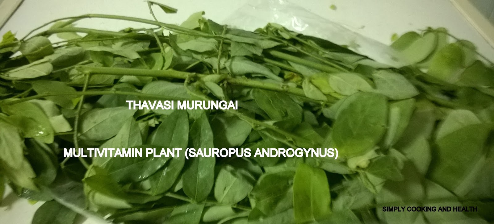Simply Cooking and Health: Multi vitamin plant leaves stir fry ...