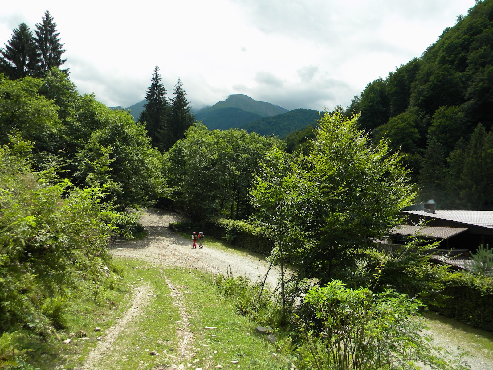 lumea in albastru: Valea Avrigului