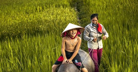 Farming In Asia