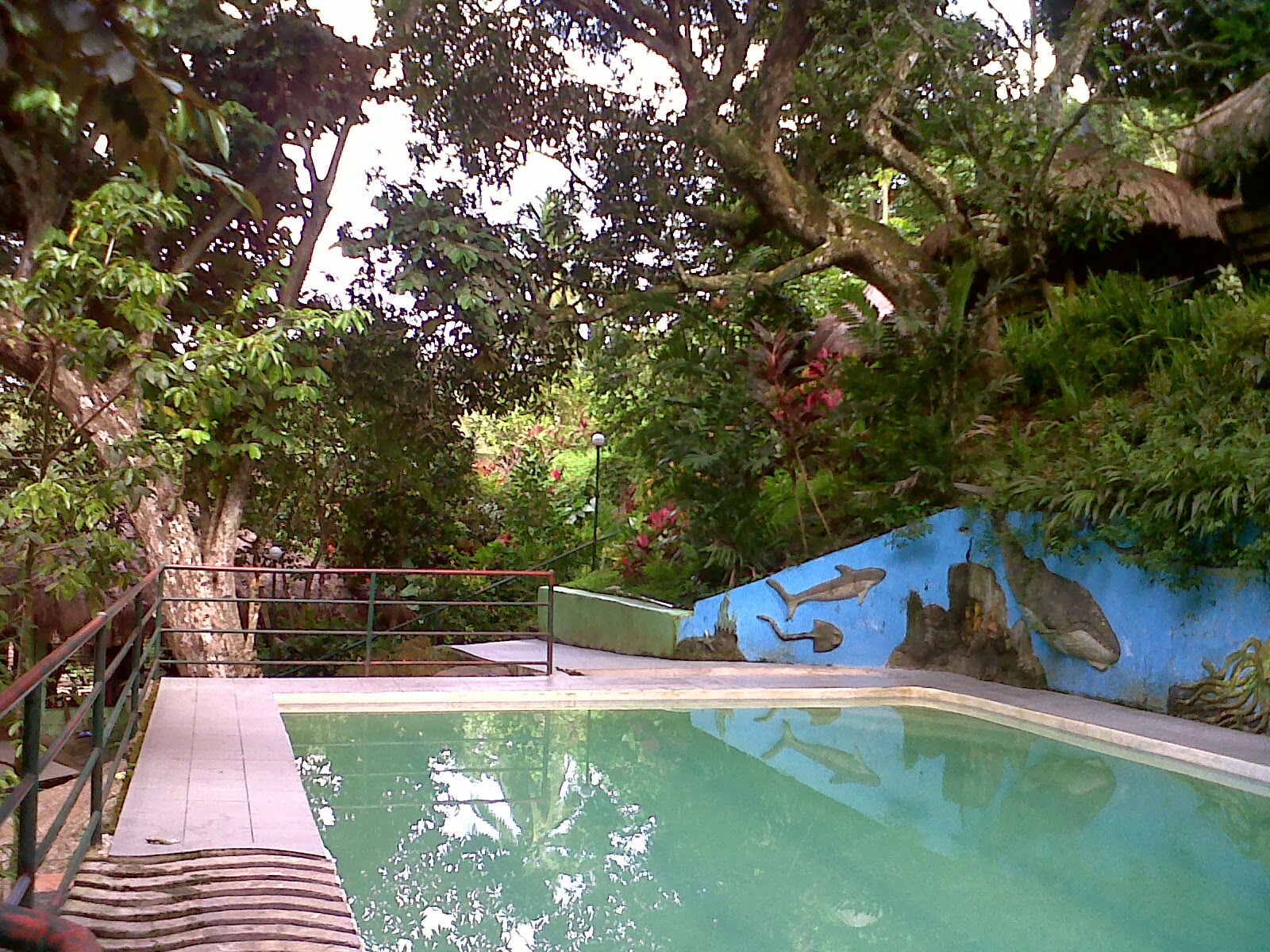 AN ESCAPE: LANIPAO RAINFOREST RESORT
