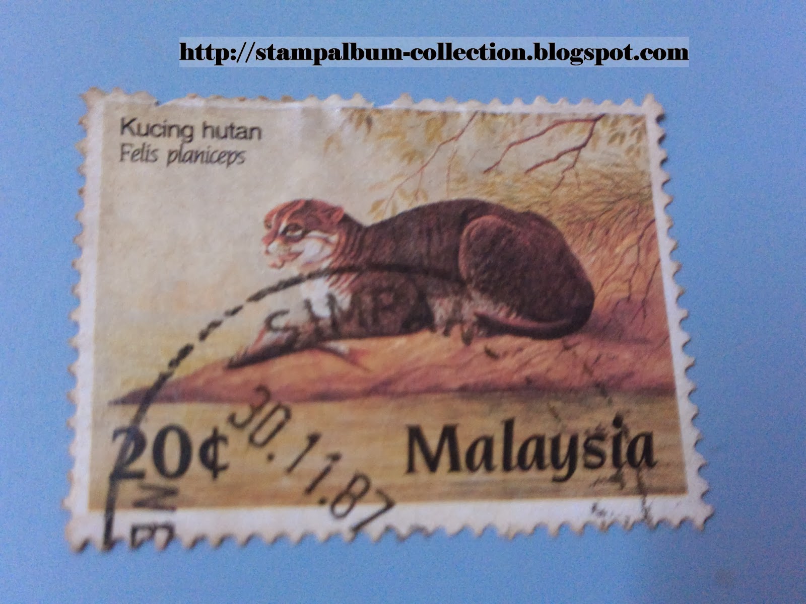Collection of Stamps: Felis planiceps, Kucing hutan