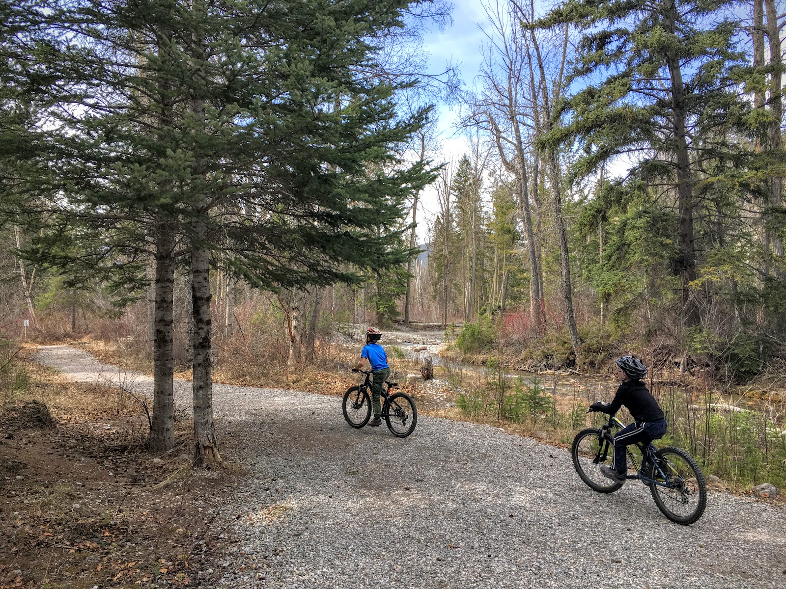 Family Adventures in the Canadian Rockies: Active Family Guide to ...