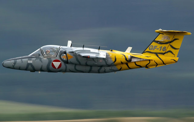 Blog de las Fuerzas de Defensa de la República Argentina: Entrenador ...