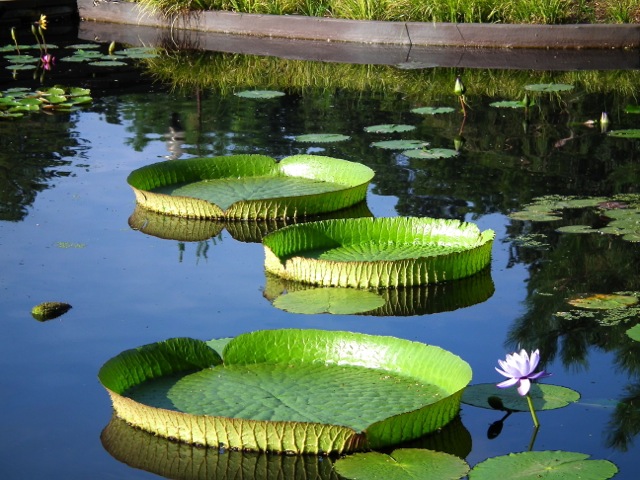 The Nature In Us: Newsletter - 10/1/12