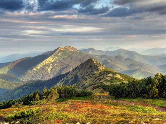 Карпатські гори: Загальна інформація