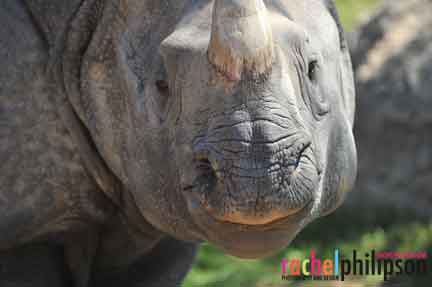 Retired--Now What?: Non-Furry Pet Photo Addendum–Zoo