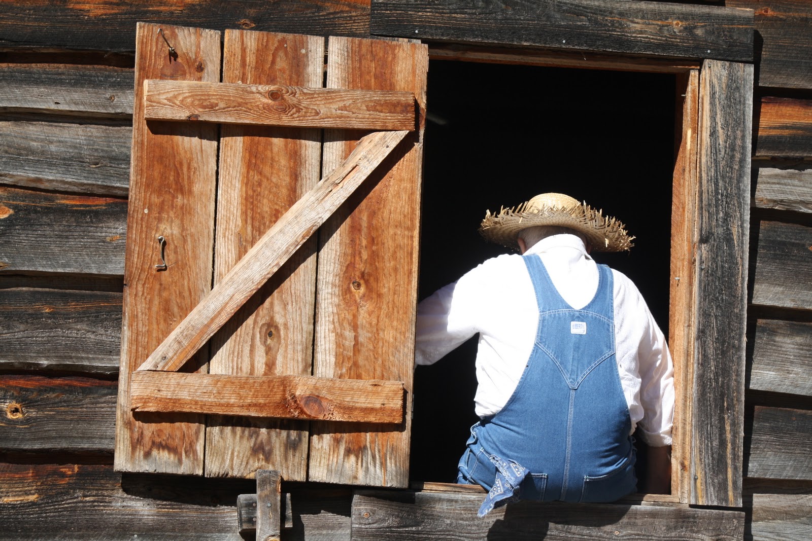 The Blue Whale and Other Travel Tales: Ocali Days at Silver River ...