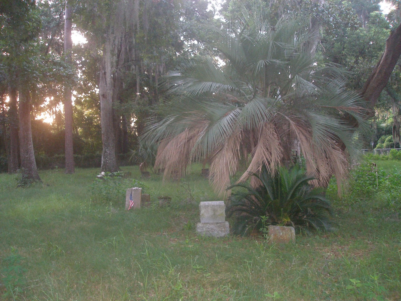 Report from the Florida Zone: Phillips-Craig Swamp Cemetery