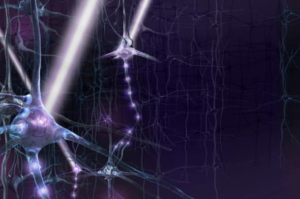 Optogenética: uma nova luz para a ciência