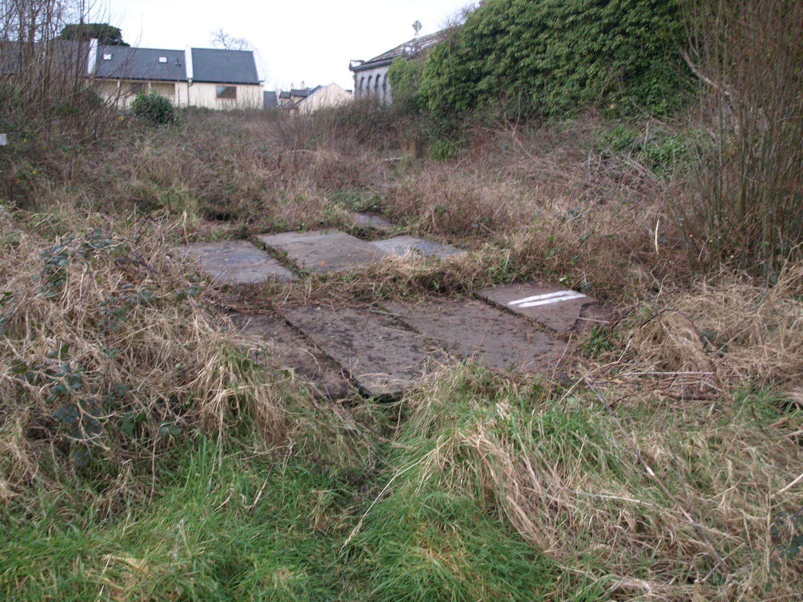 AS THEY WERE: 'SAVE THE FORMER CHURCH OF IRELAND GRAVEYARD' KILRUSH