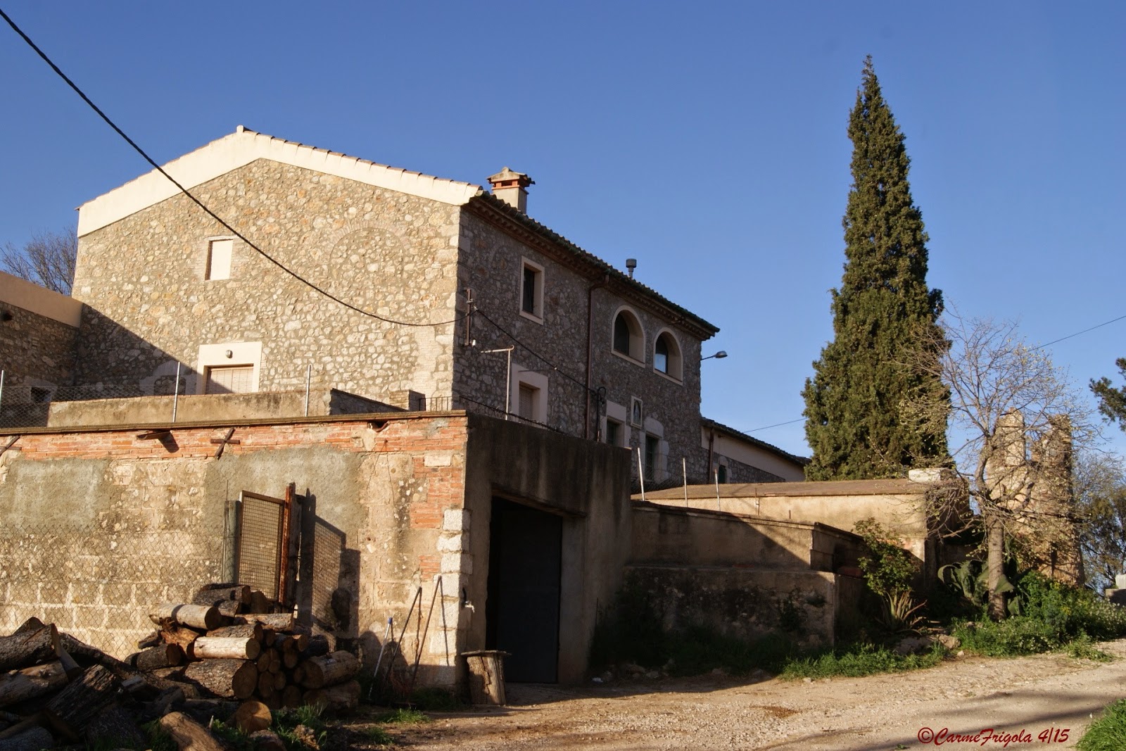 FLORA I PAISATGE DE LLERS: CASTELL DE SARRAI - MAS LA PUJADA