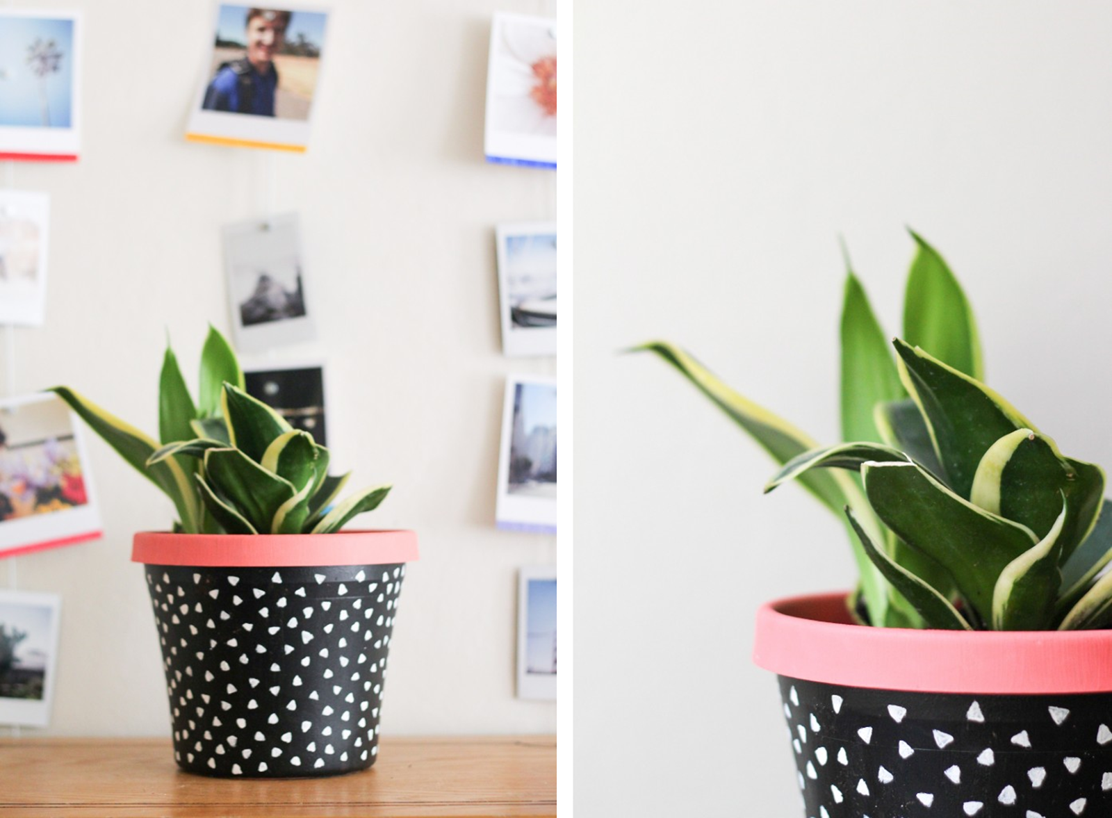 Decoración Fácil: 8 Ideas para decorar macetas