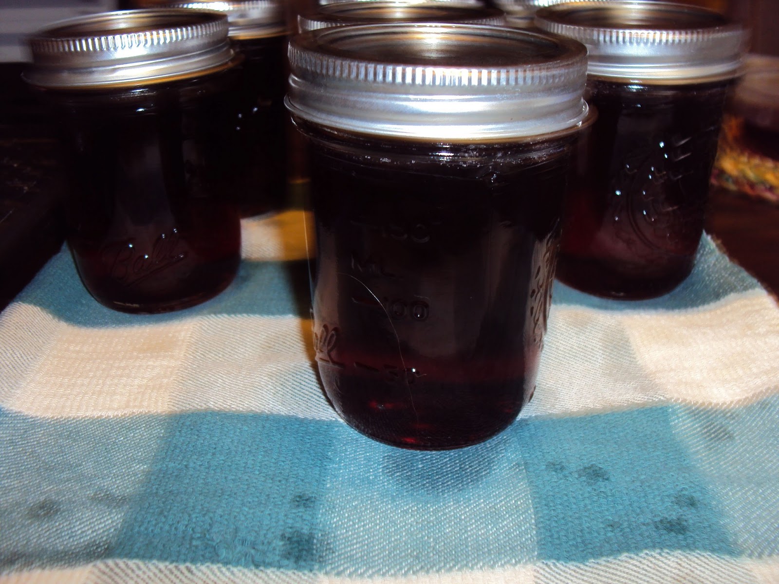 Frugal Like Grandma: Red Bud Trees and Red Bud Jelly