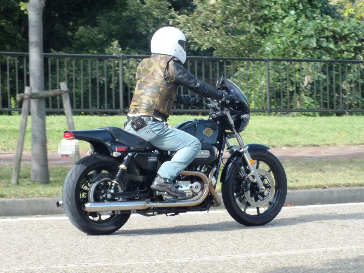 DUECILINDRI: SPORTSTER XLCR STYLE