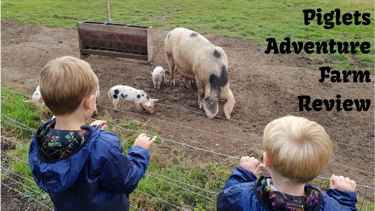 10 Things You Need To Know Before Visiting Piglets Adventure Farm In ...