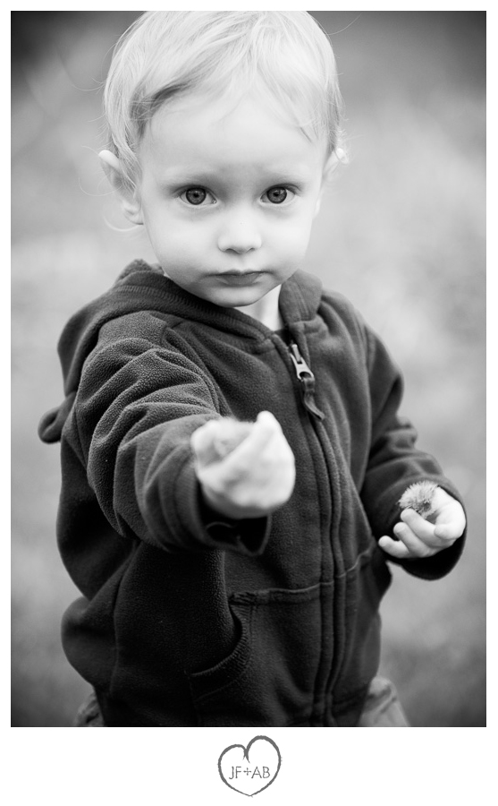 JF + AB Photography Blog: Rosalynn and Joe's Family Portrait Session