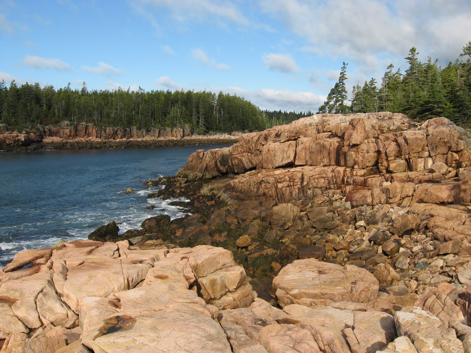 Ship Harbor Trail, Acadia National Park