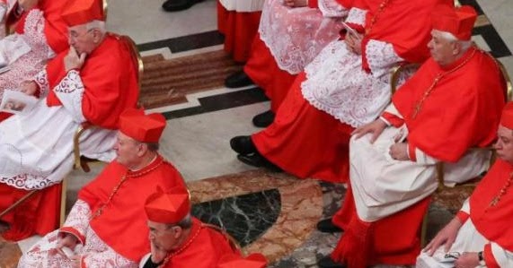 The Eponymous Flower: Pope Bergoglio Surprise Creation of New Cardinals