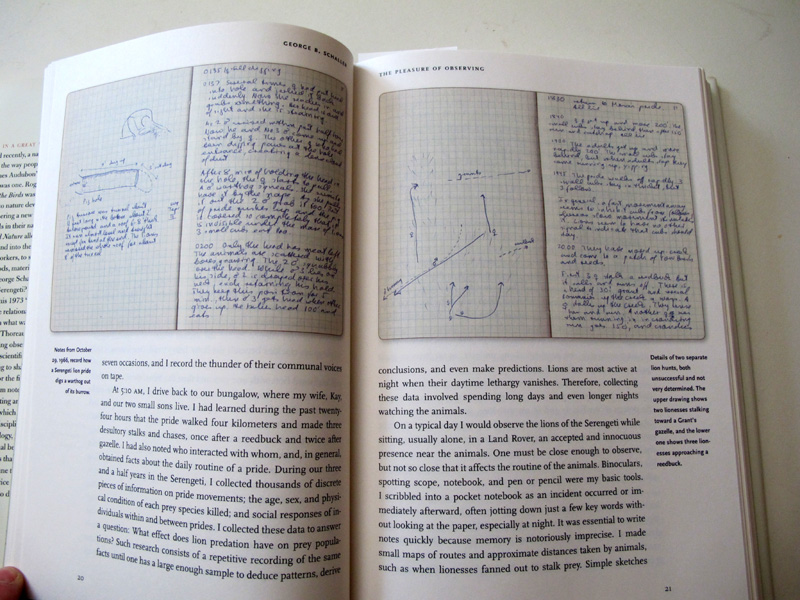 Squirrel's View: Naturalist Field Notes