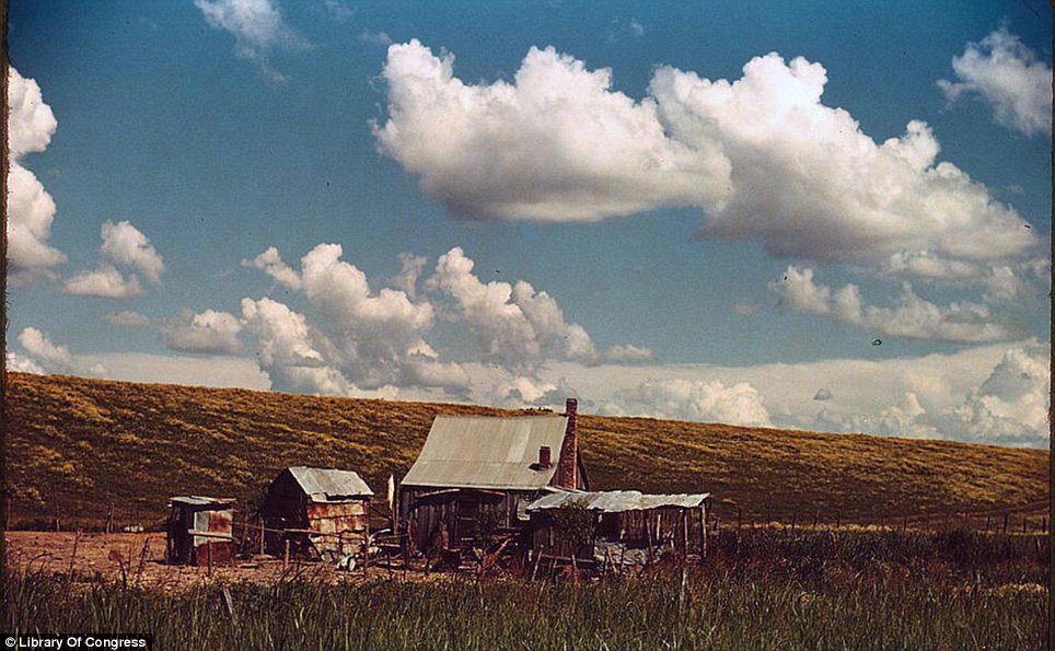 WHAT THE FUCK HAVE YOU DONE?: Rare Color Photographs Of The Great ...