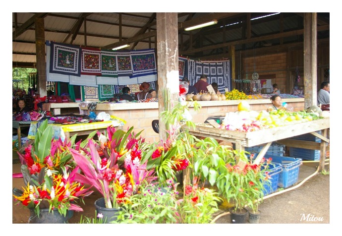 Mitou La Bretonne: Village de Cacao (Guyanne )
