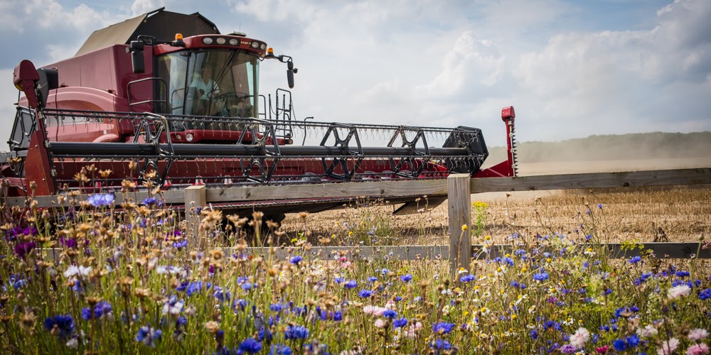 Plots-in-Pics: Combine