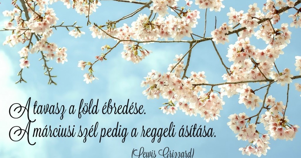 Gica naplója az újrakezdésről...: Ma van a tavasz első napja... :)