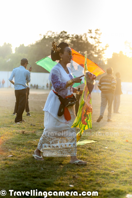 Delhi's International Kite-Flying Festival by Delhi Tourism @ India ...