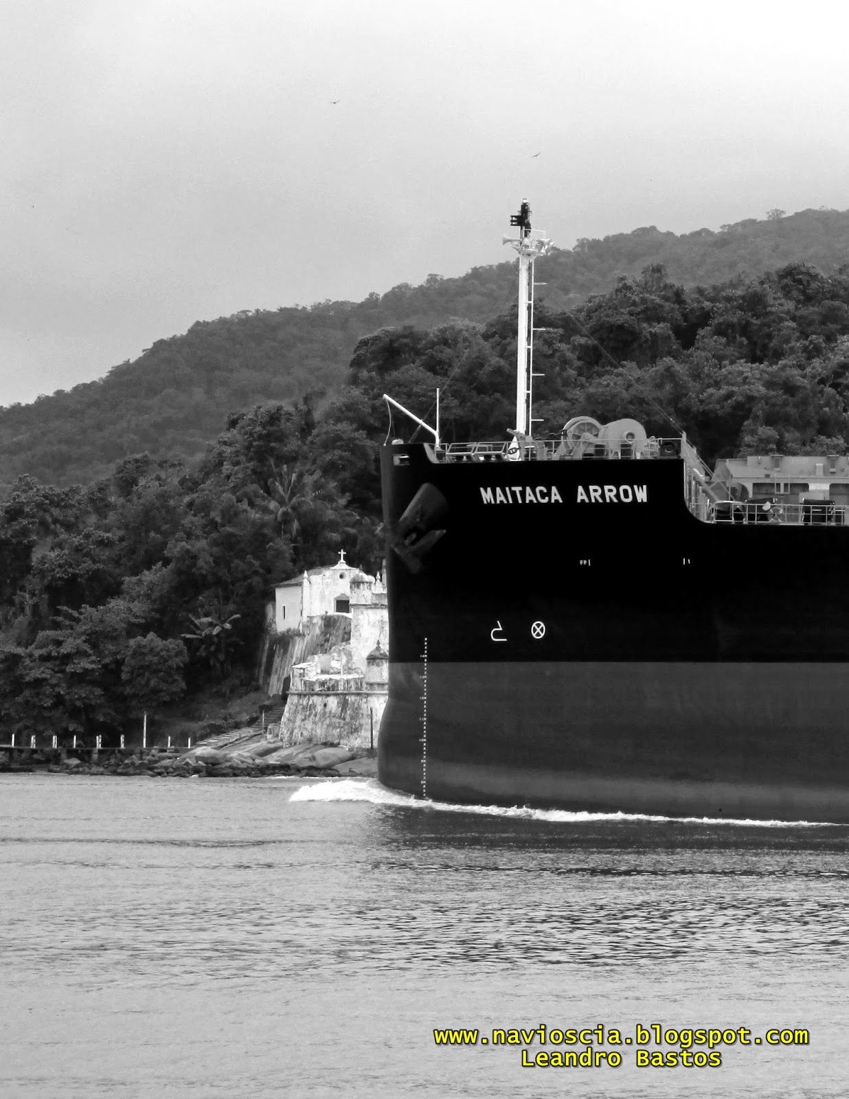 Navios de Santos & CIA: Navio MAITACA ARROW