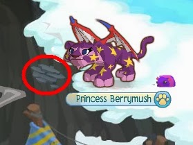 The Animal Jam Bright : mt. shiveer journey book guide