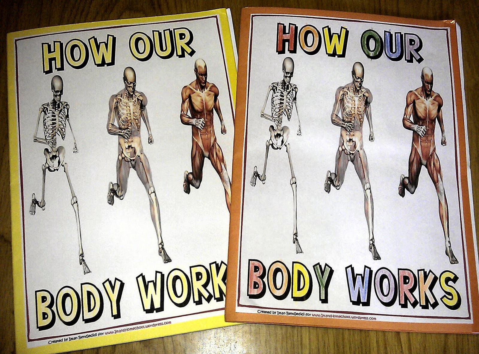 Iman s Home School Human Body Lapbook Early Readers Writers iman-s-home-school-human-body-lapbook-early-readers-writers