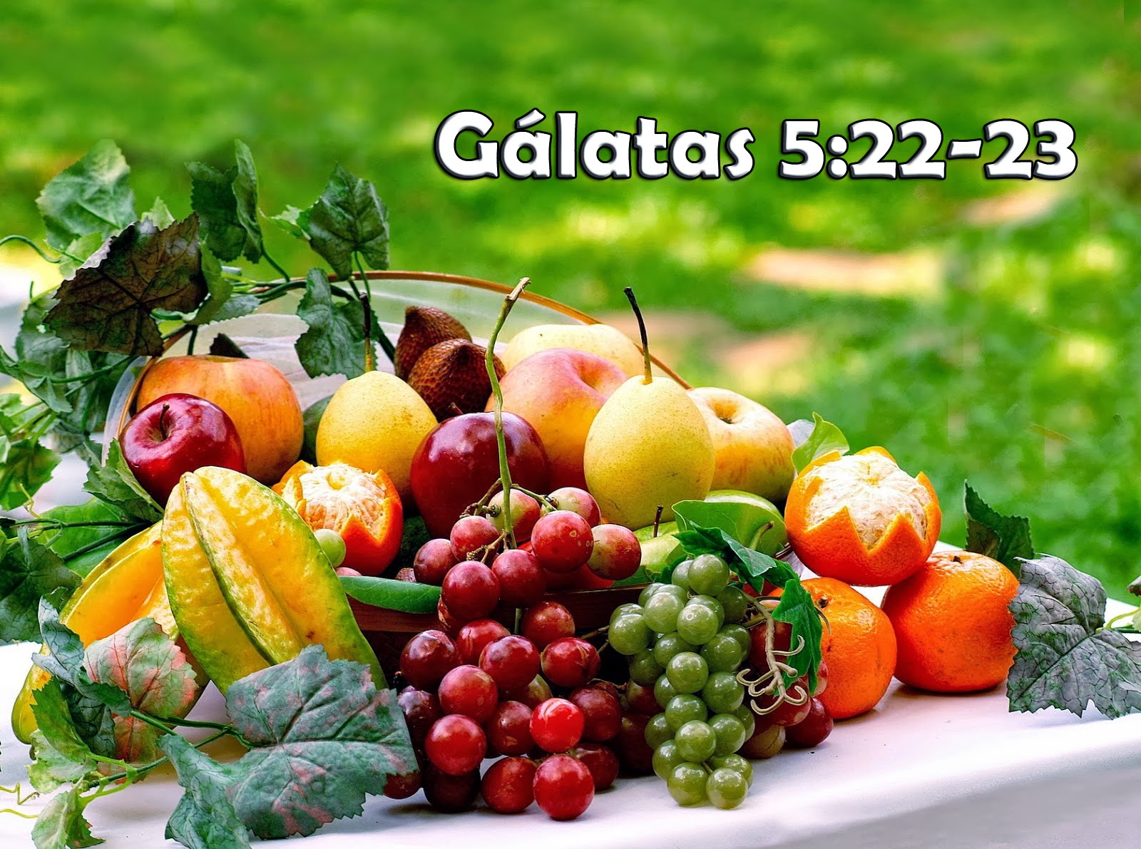 Aprendiendo la Sana Doctrina: Gálatas 5:22-23